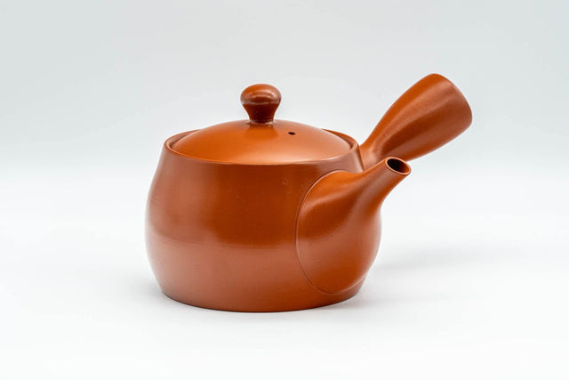Japanese Kyusu - Iwata Kiln Tokoname-yaki Kyusu - 375ml – Tezumi